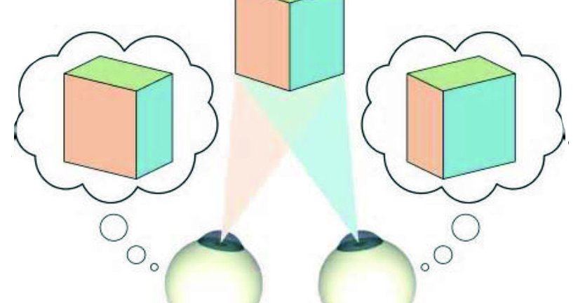 École alsacienne - Les voies de la vision